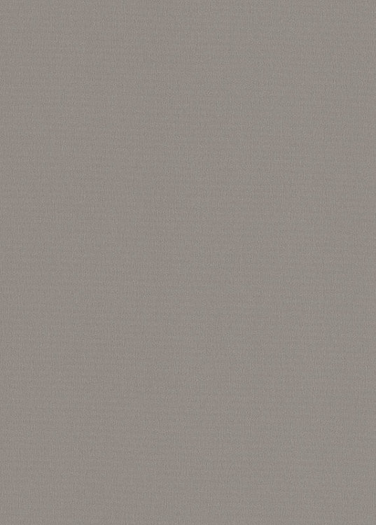 Алюминий матированный, Egger, F501-ST2